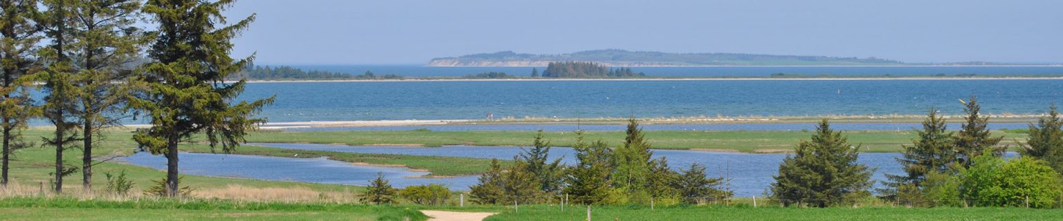 Das Herrenhaus - Strandet Hovedgaard Forvaltning ApS